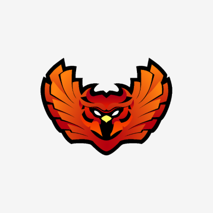 Next Destiny Academy - Team Profile | OPL