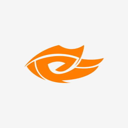 ENVISION ESPORTS - Team Profile | OPL