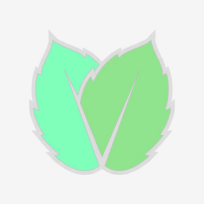 OFSL Gaming - Team Profile | OPL