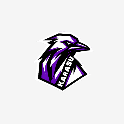 Karasu Esport EU - Team Profile | OPL